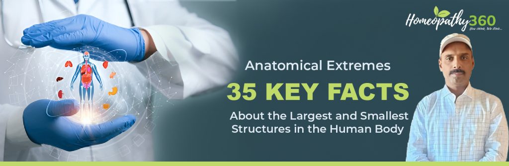 Anatomical Extremes: 35 Key Facts About the Largest and Smallest ...