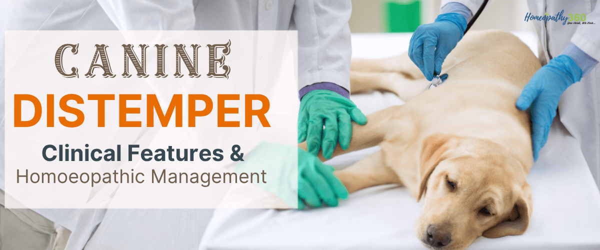 Canine Distemper - Clinical Features And Homoeopathic Management