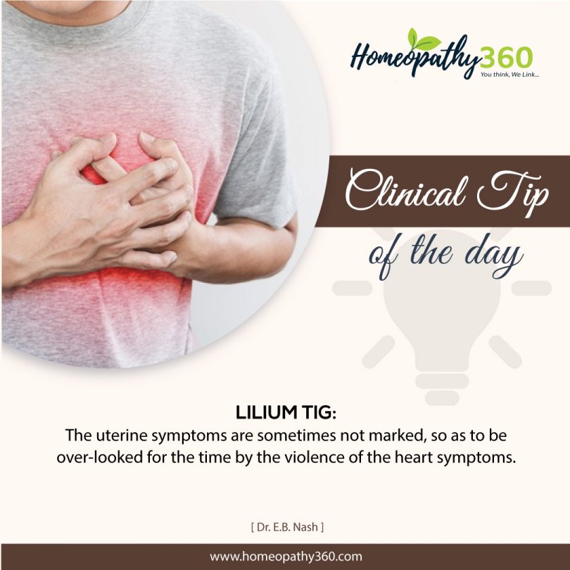 Lilium Tig: Clinical Tips by Dr. E.B. Nash