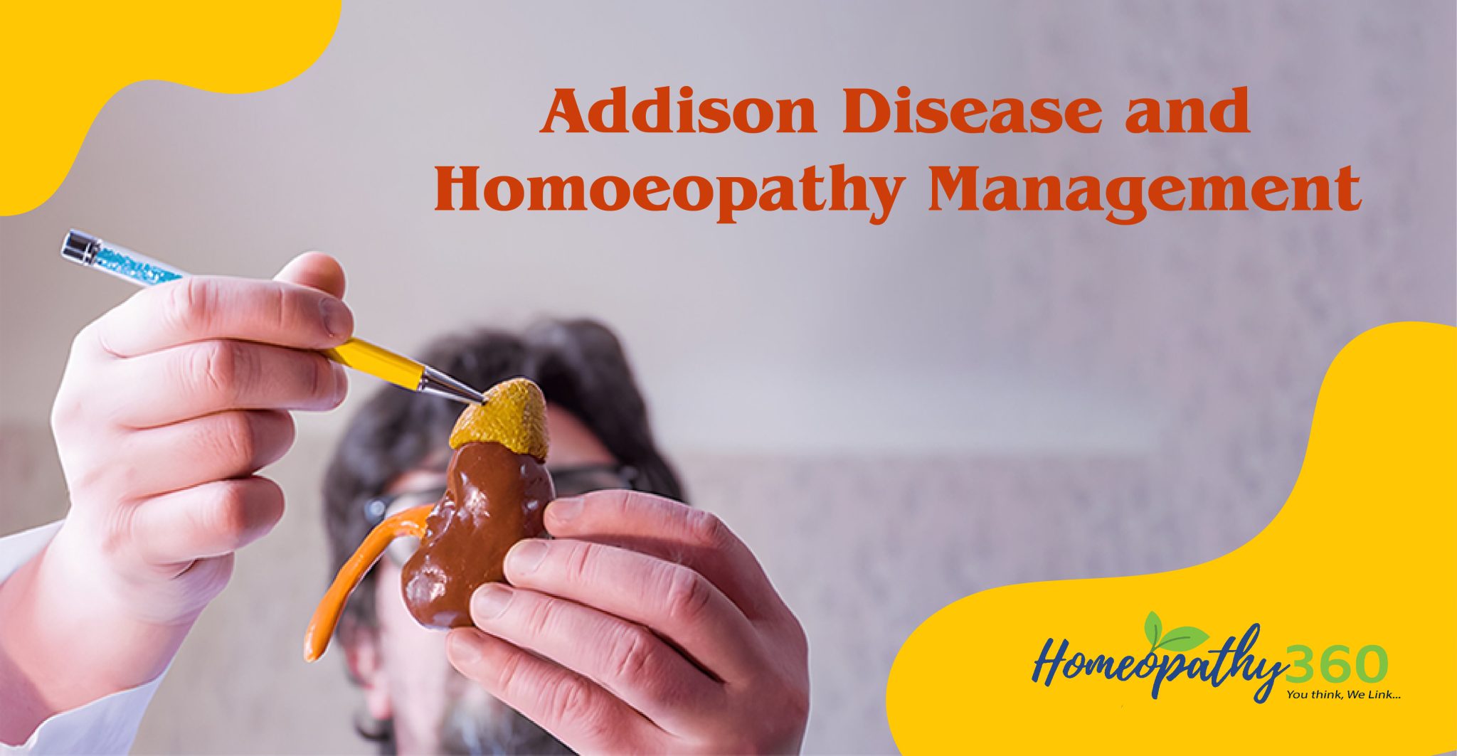 Addison’s Disease and Homoeopathic Management - homeopathy360