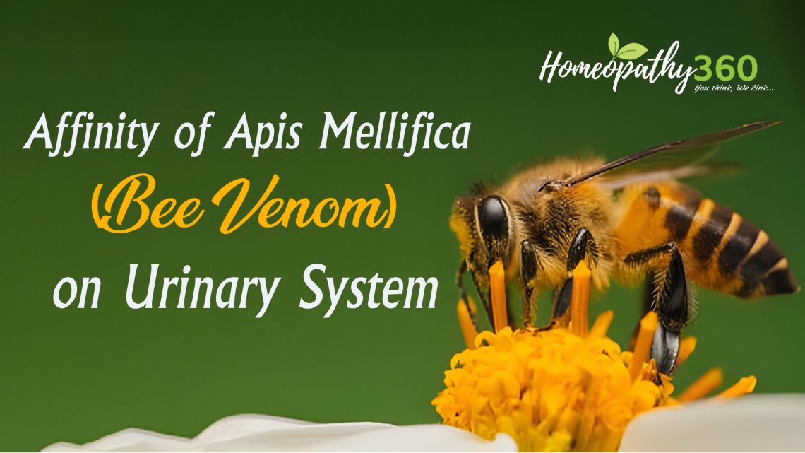 Affinity of Apis Mellifica (Bee Venom) on Urinary System with Case of ...